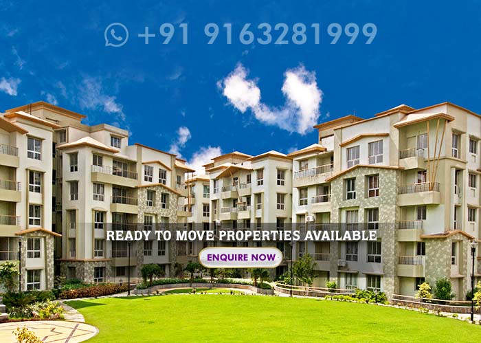 Discover Your Dream Home with Fortune Realty - Top Real Estate Company